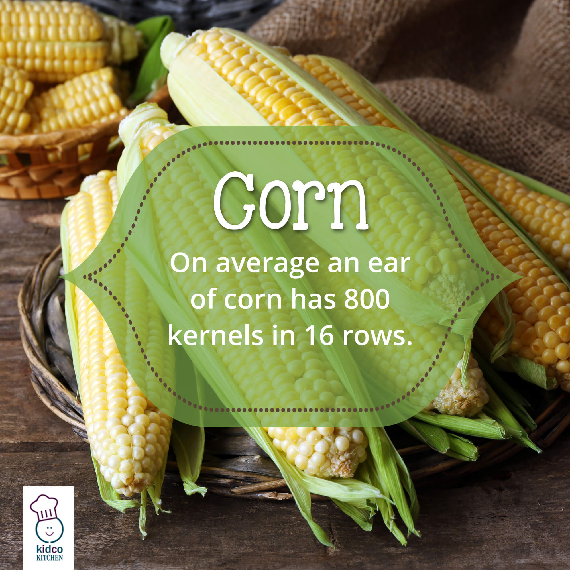 Food facts and gorgeous food photos | Kidco Kitchen