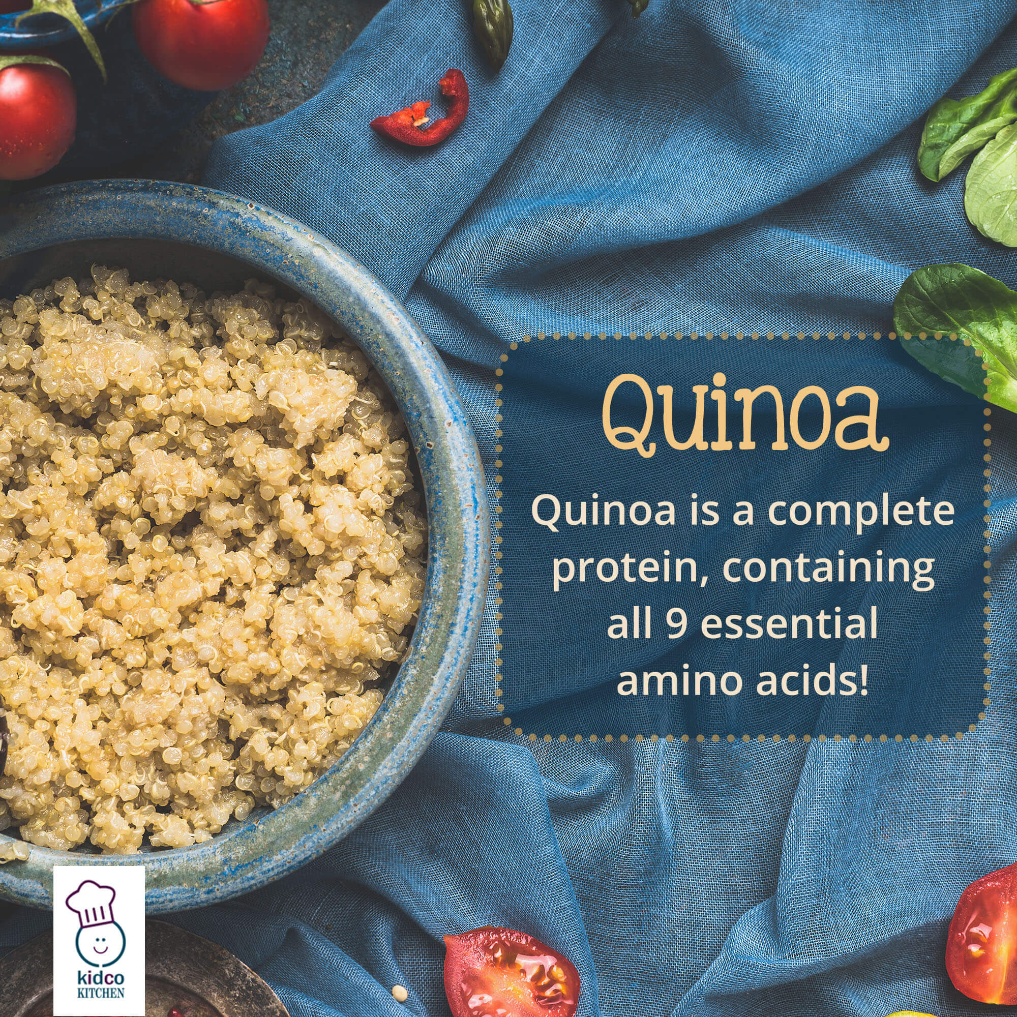 Food facts and gorgeous food photos | Kidco Kitchen